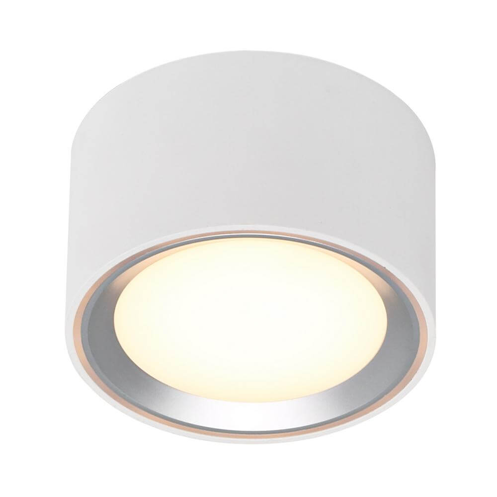 Witte spot met metalen ring Fallon 6cm x Ø 10cm van Nordlux kopen ...