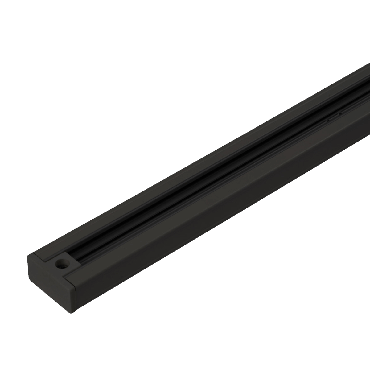 2 meter rail TraQ zwart van Lyora kopen | LampenTotaal