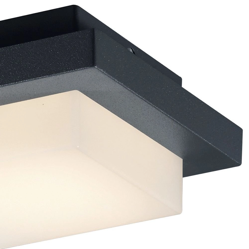 LED veranda licht Hondo 14cm antraciet van Trio kopen | LampenTotaal